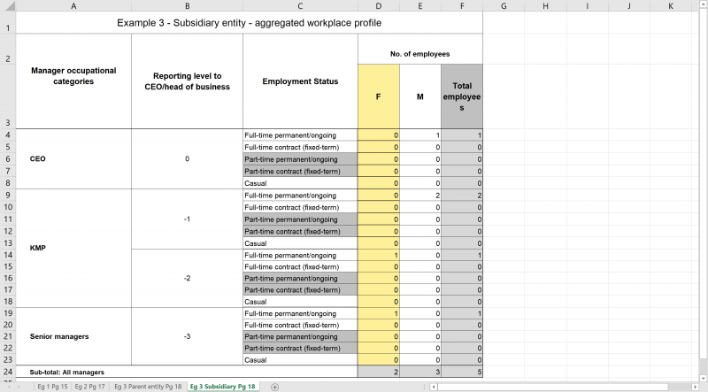 2.7 How do I trace reporting levels to the CEO? | WGEA